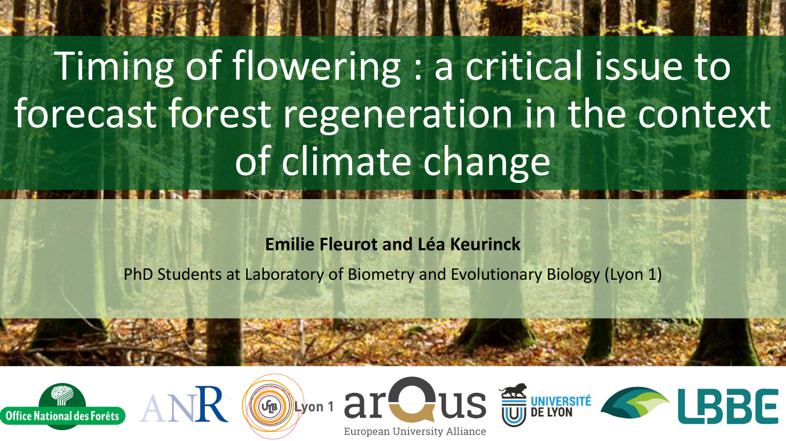 Timing of flowering : a critical issue to forecast forest regeneration ...